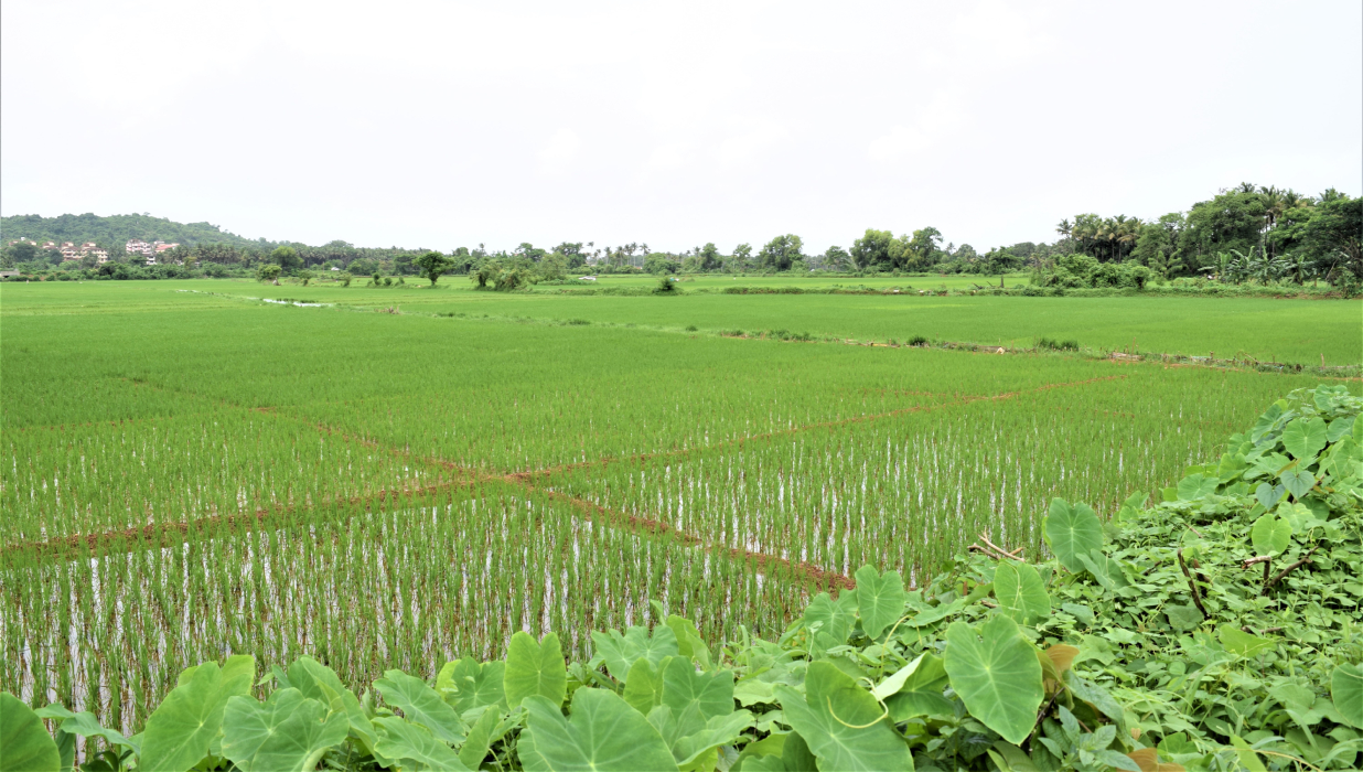 Raia: The Village That Reflects Goa’s True Essence